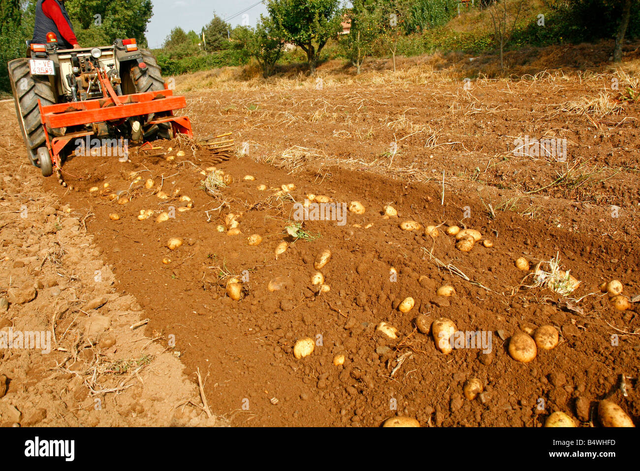 Harvesting potatoes spain hi-res stock photography and images - Alamy