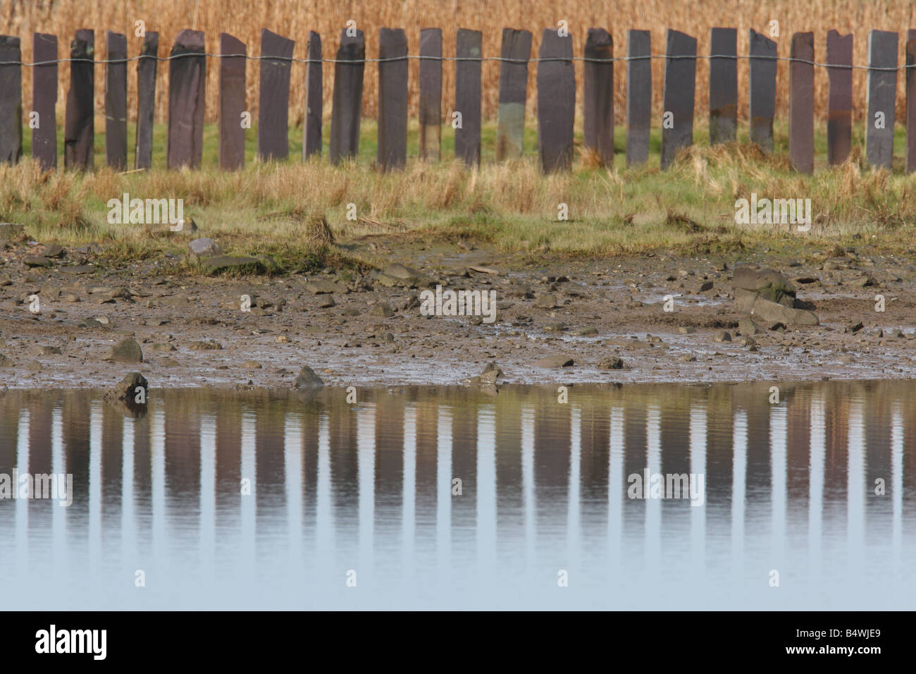 FENCING USING NATURAL MATERIALS SLATE IN NORTH WALES Stock Photo - Alamy