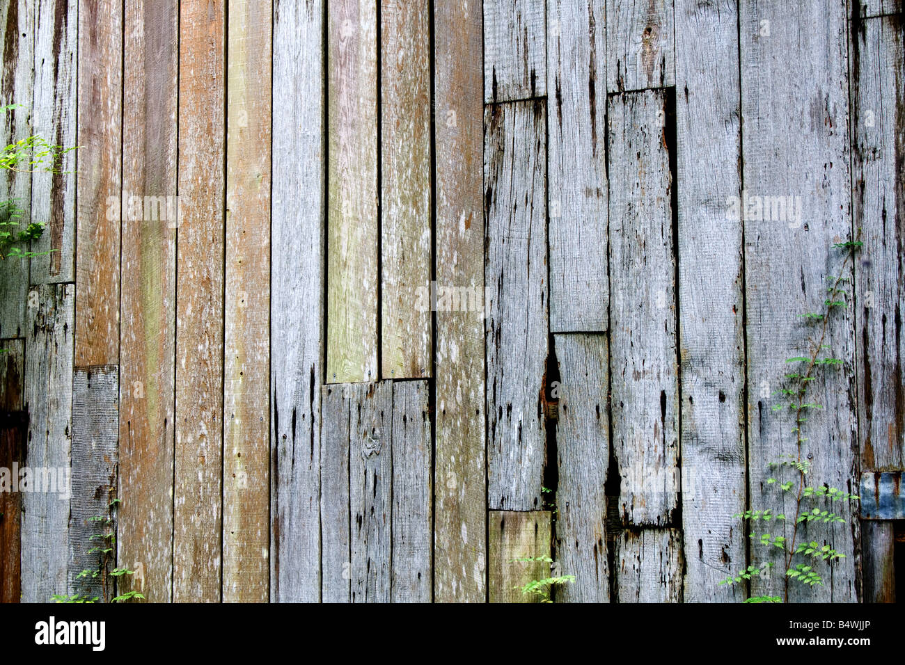 Decaying wall hi-res stock photography and images - Alamy