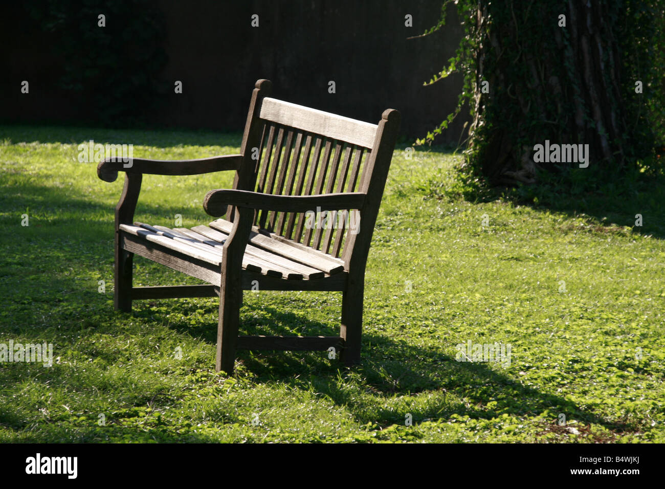 one empty bench in park with tree Stock Photo - Alamy