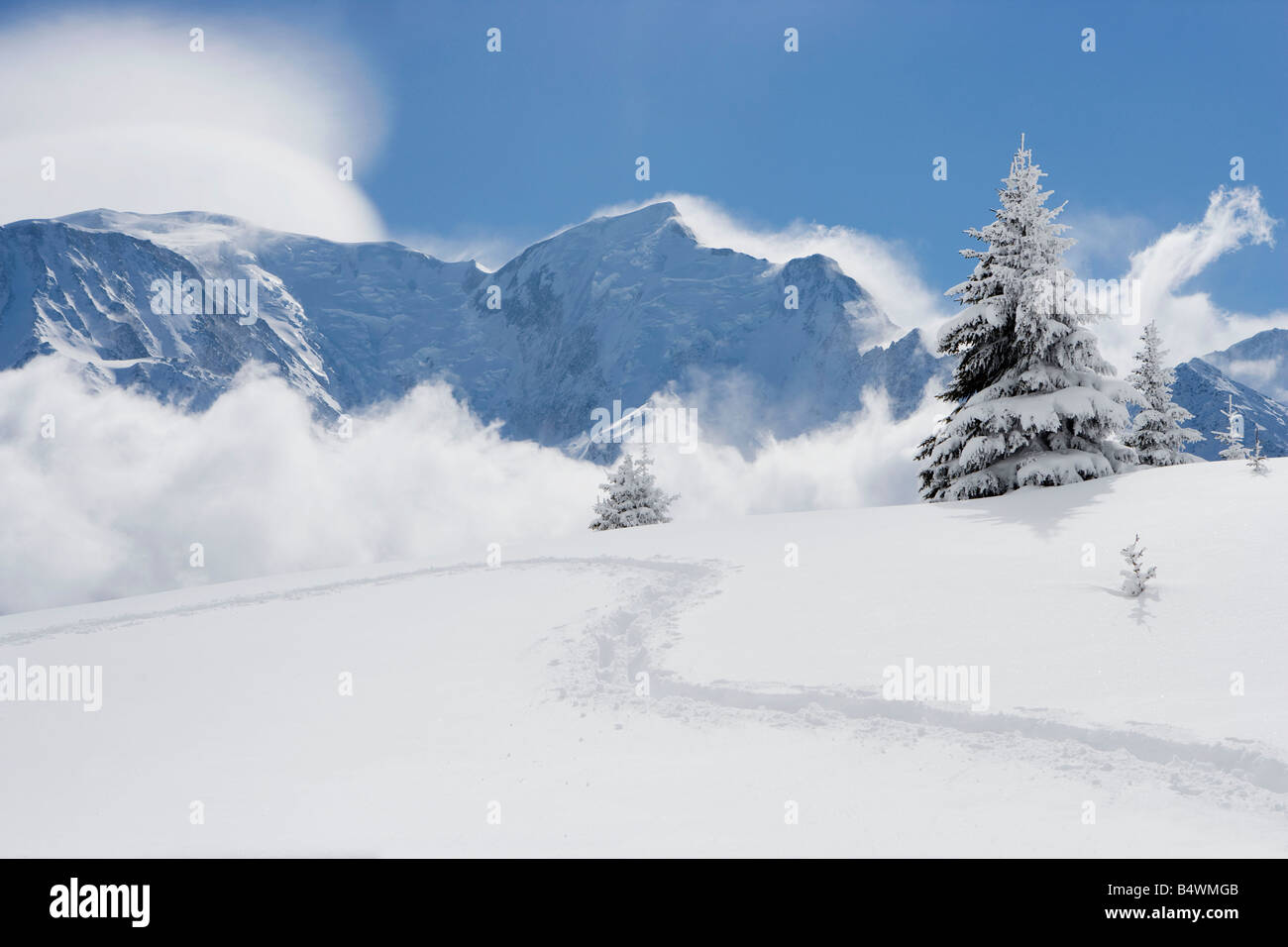 Fresh snow hi-res stock photography and images - Alamy