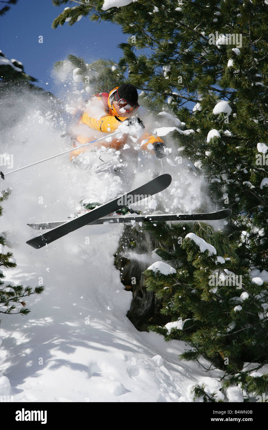 Skier jumping through trees Stock Photo - Alamy