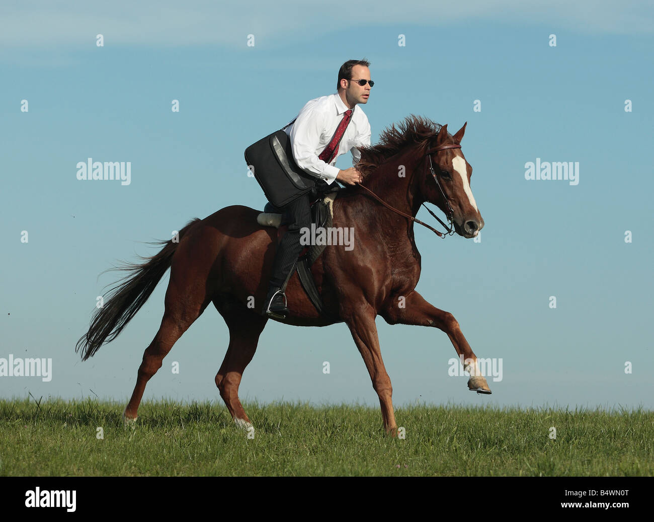 Horse suit hi-res stock photography and images - Alamy