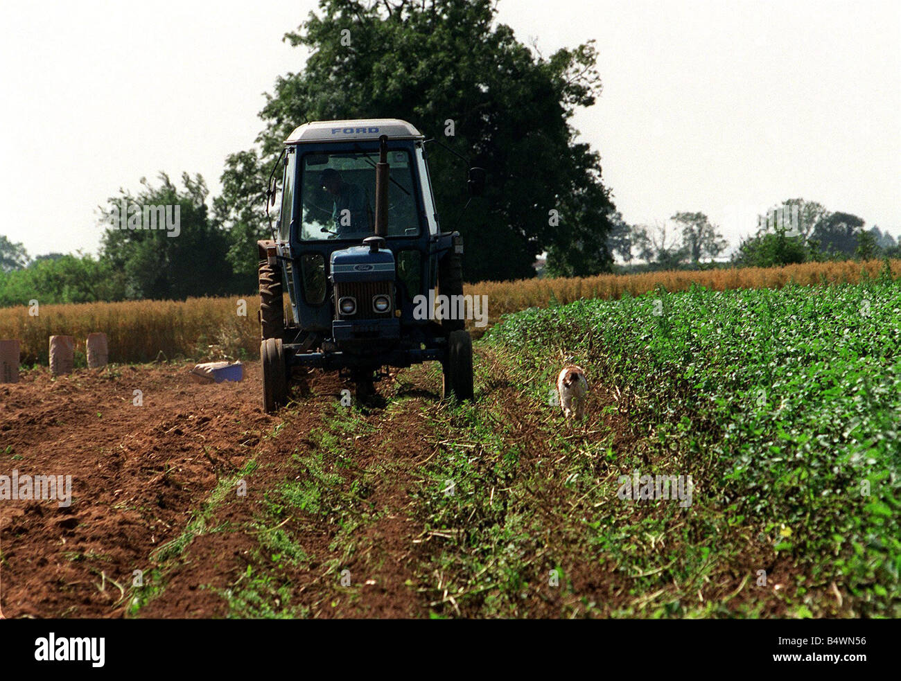 On tetbury hi-res stock photography and images - Alamy