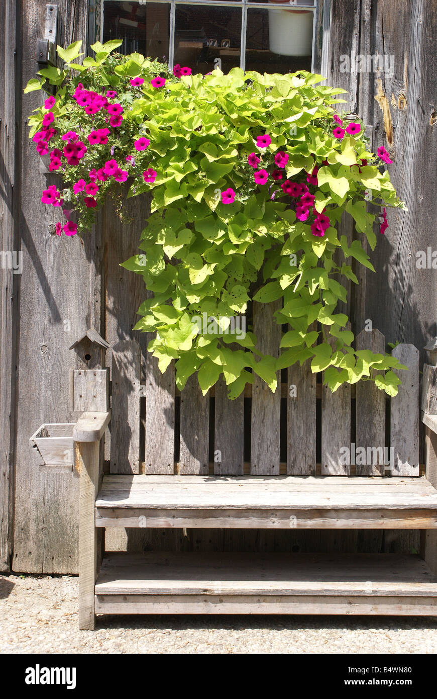 Window Flower box Stock Photo - Alamy