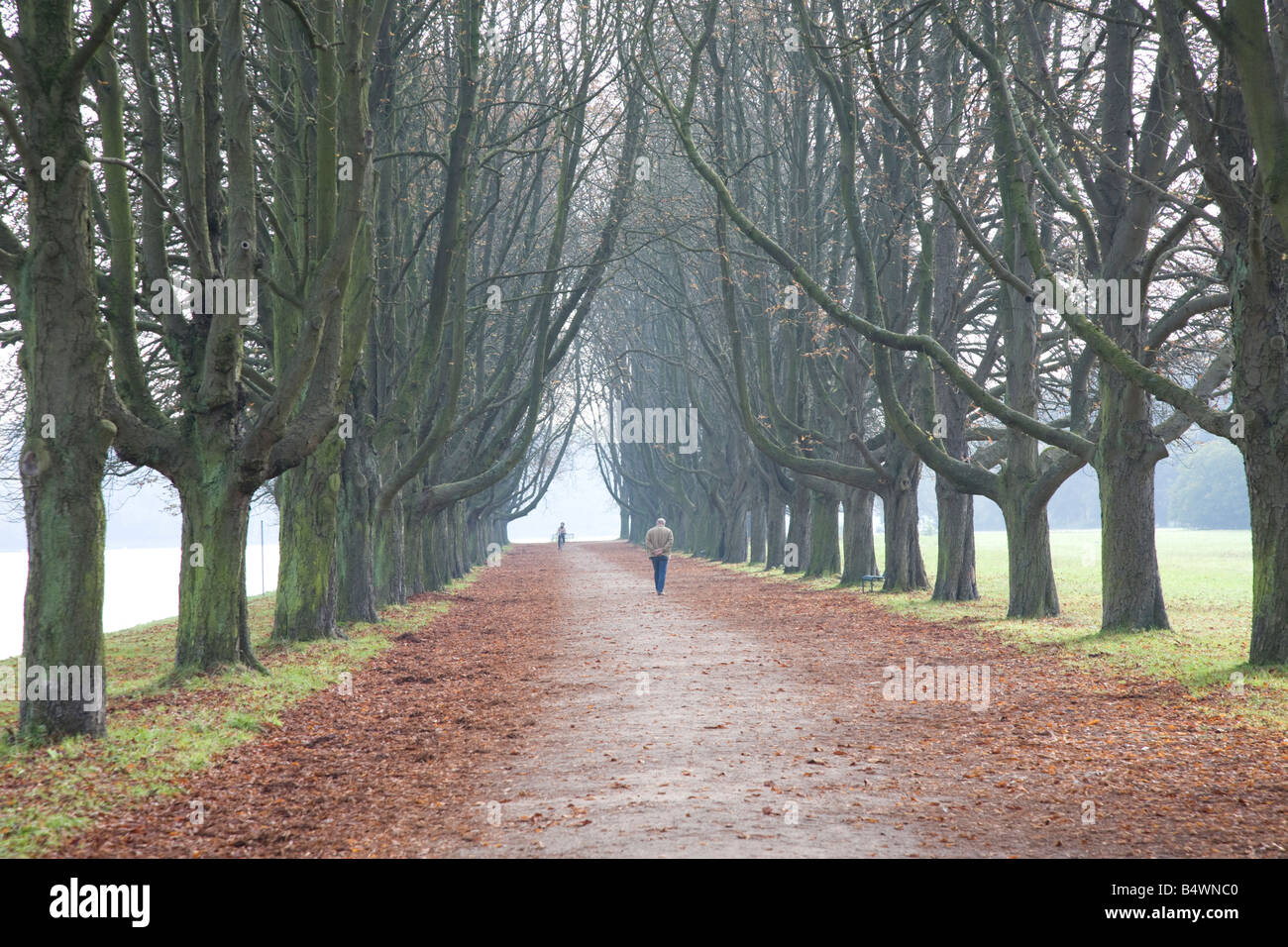 Colors in dull landscape hi-res stock photography and images - Alamy