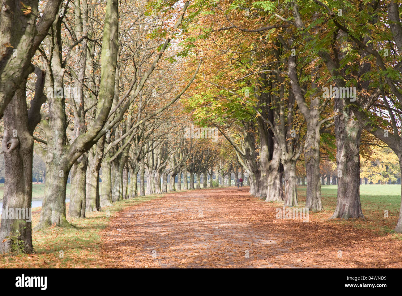 Colors in dull landscape hi-res stock photography and images - Alamy