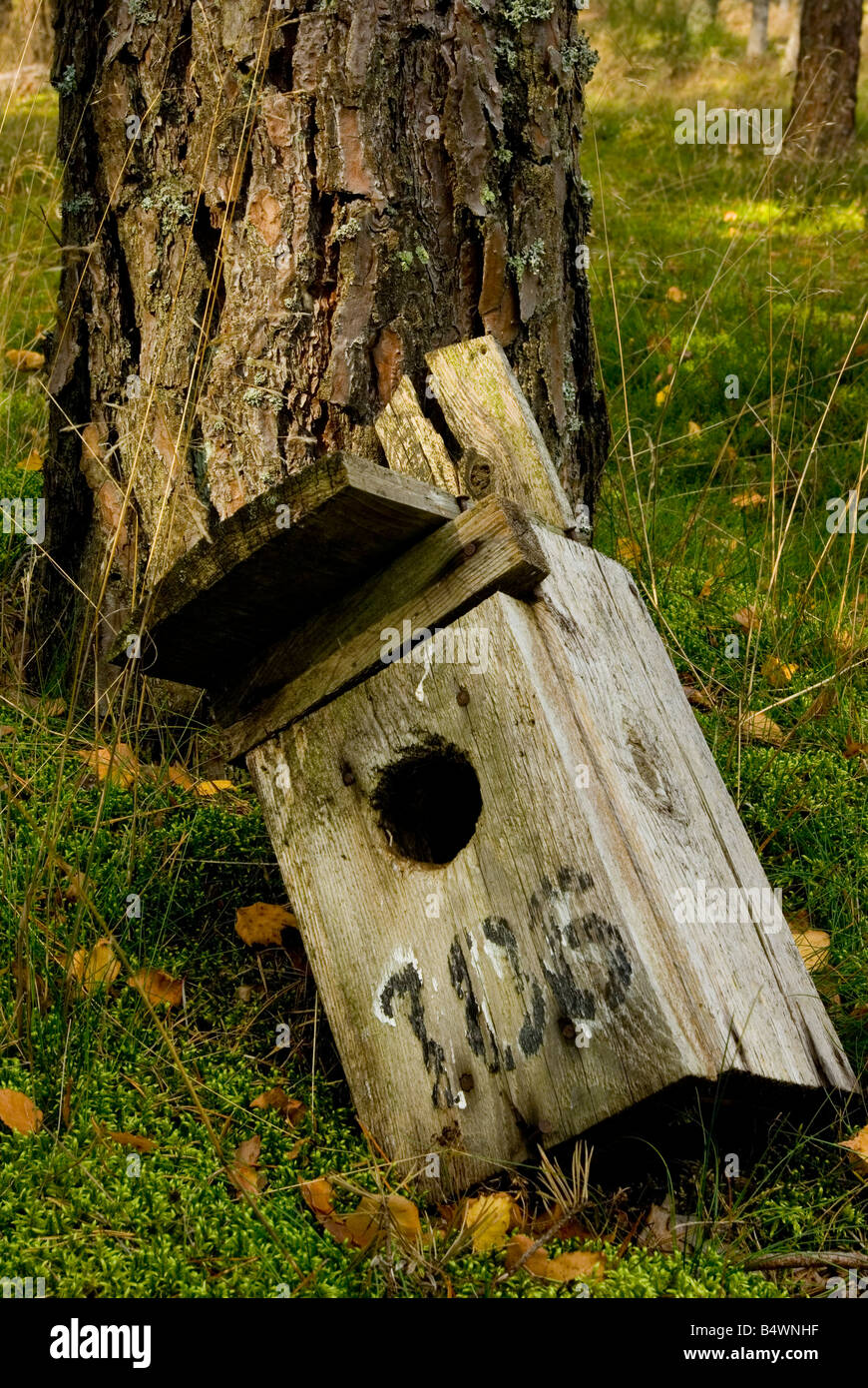 Broken nest box hi-res stock photography and images - Alamy