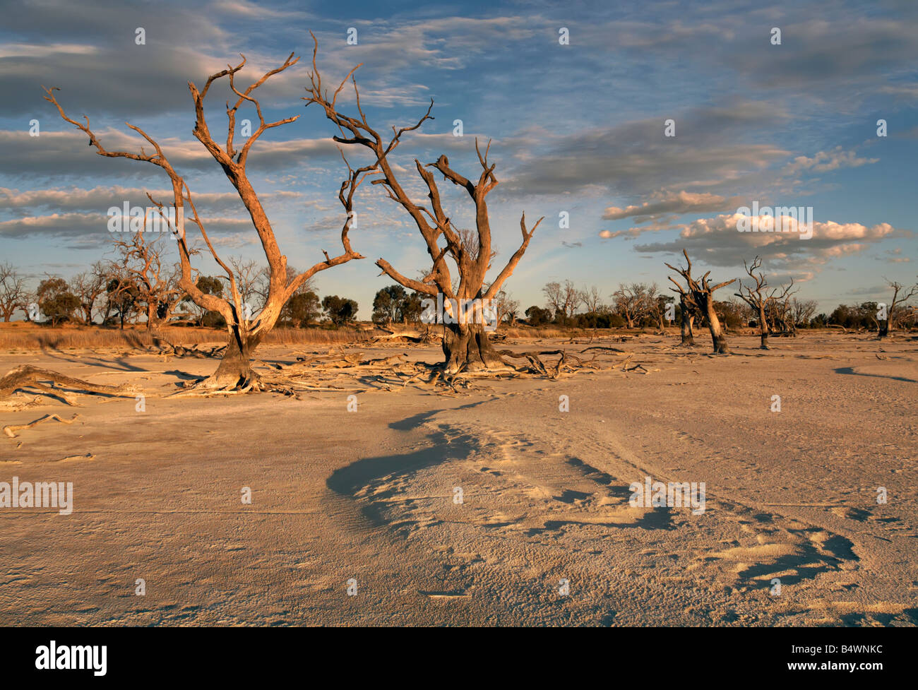 Lake barmera riverland south australia hi-res stock photography and ...