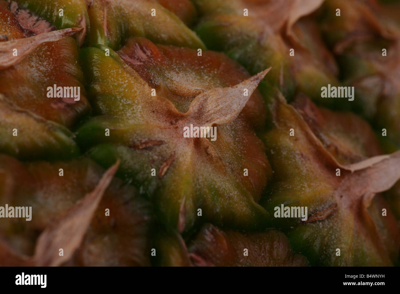 pineapple, food, fruit Stock Photo - Alamy