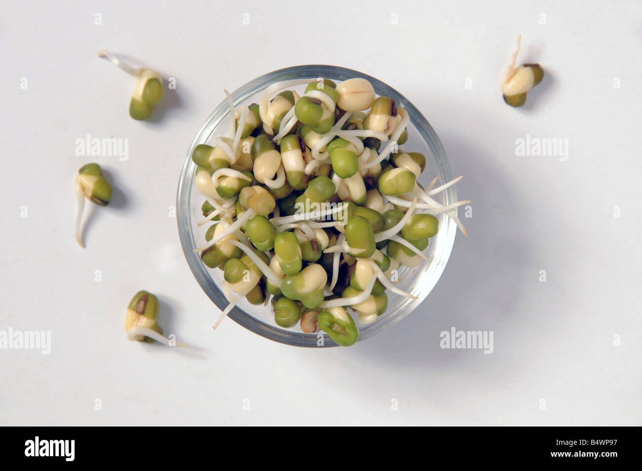 Mung beans hi-res stock photography and images - Alamy