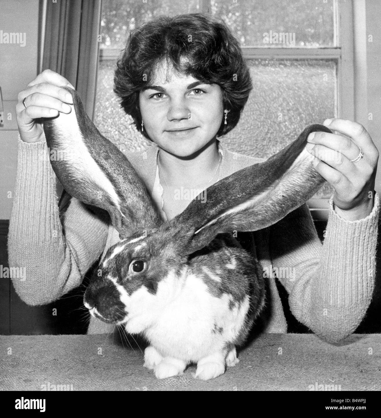 Leggo the old English lop rabbit with Debbie Askew. 13th October 1979 ...