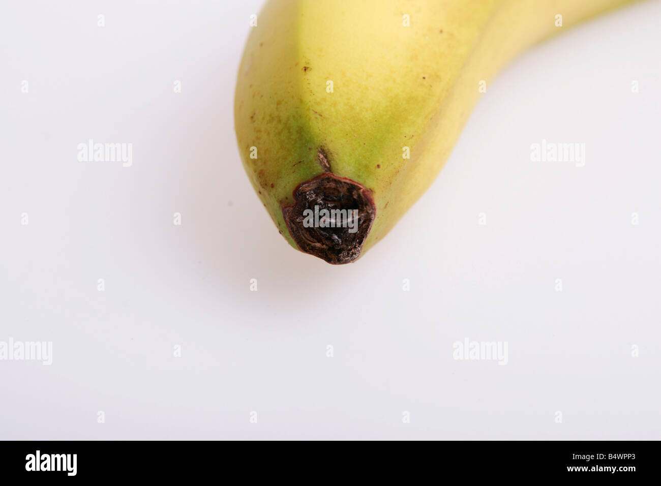 Single green banana hi-res stock photography and images - Alamy