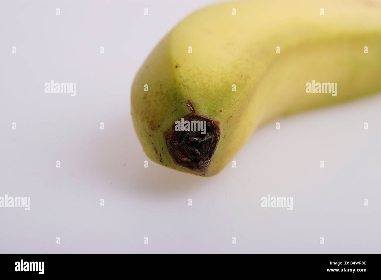 Single green banana hi-res stock photography and images - Alamy