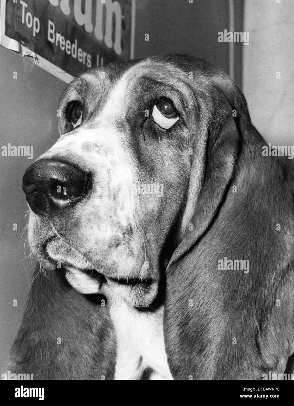 Unmistakable hi-res stock photography and images - Alamy