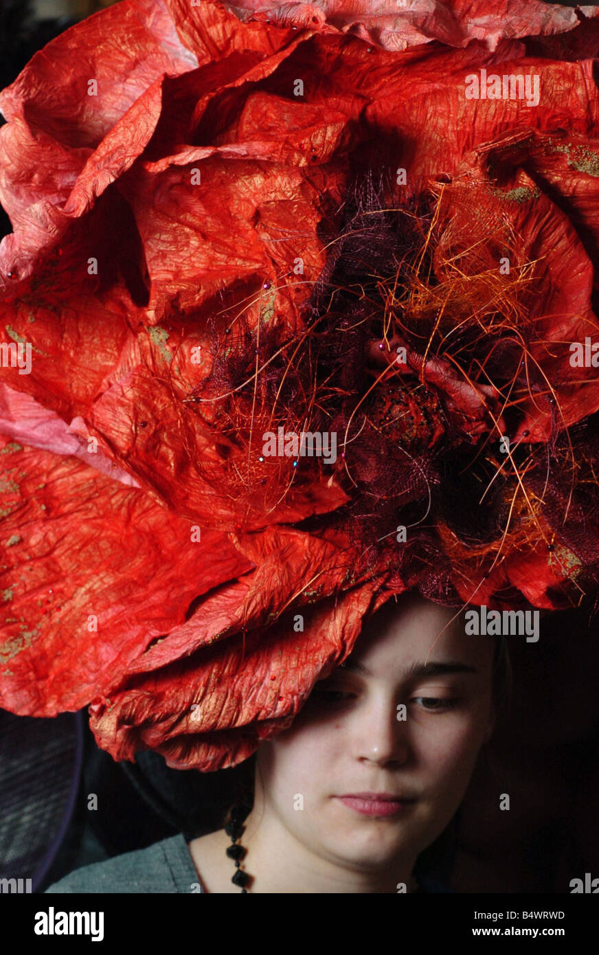 Alison tod hi-res stock photography and images - Alamy