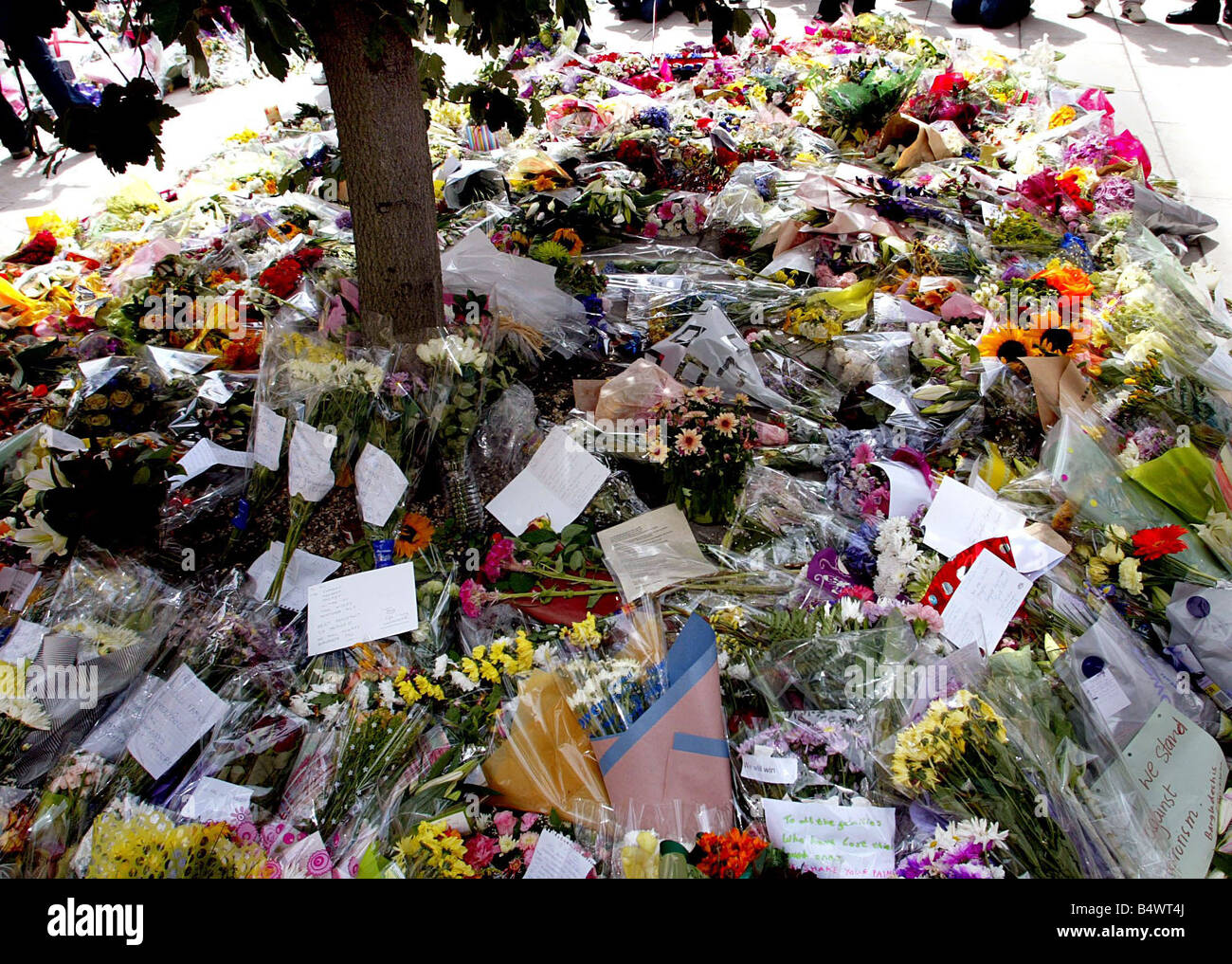 London bus bomb 2005 hi-res stock photography and images - Alamy