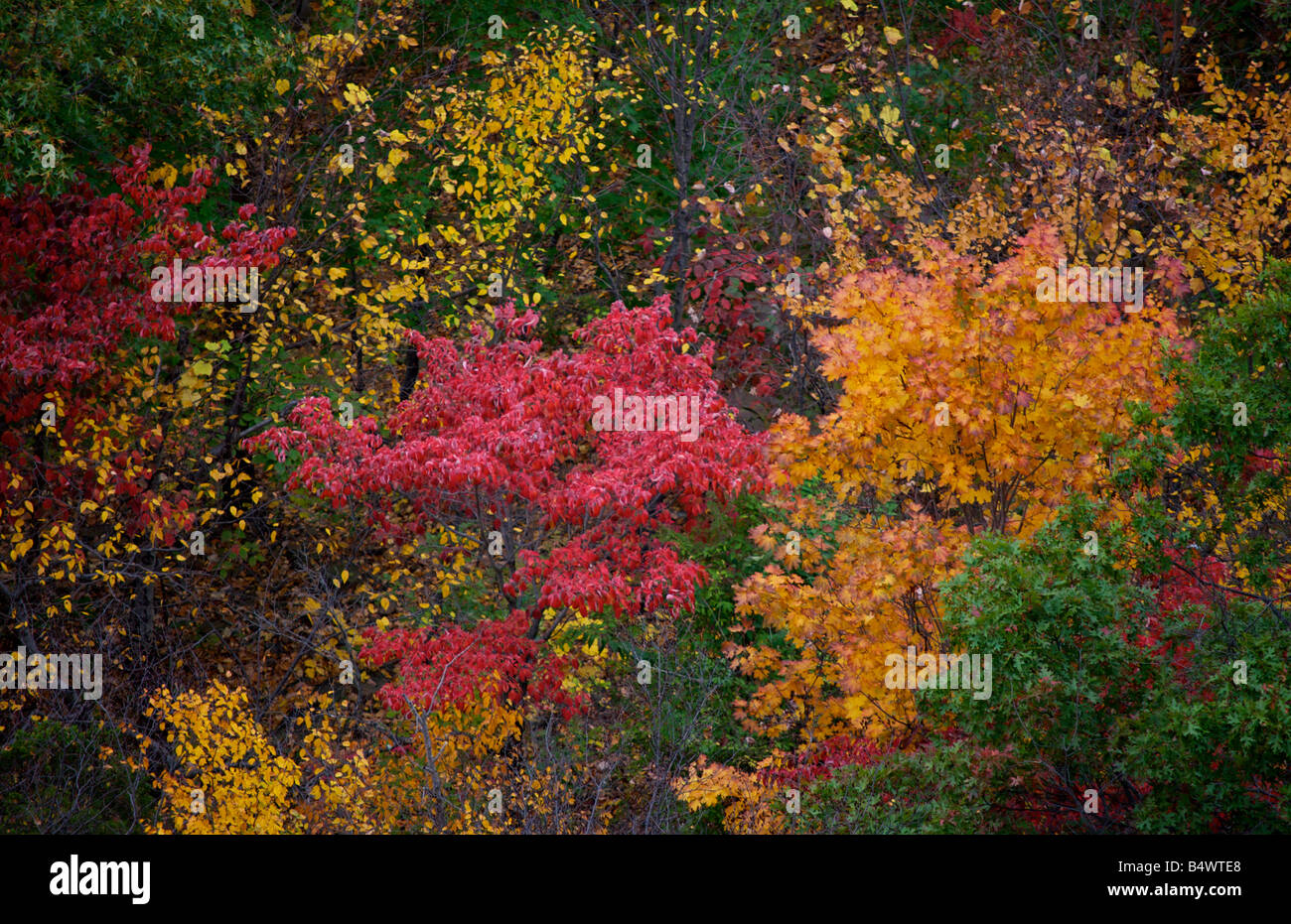 landscape and fall colors and scenic views of city and country Stock ...