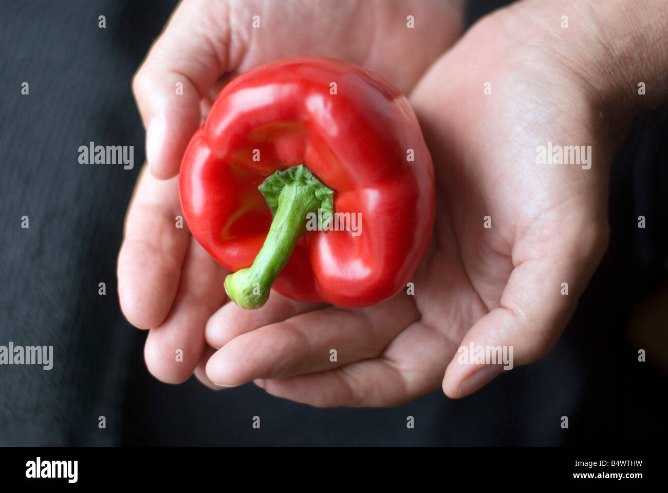 hand holds red bell pepper Stock Photo - Alamy