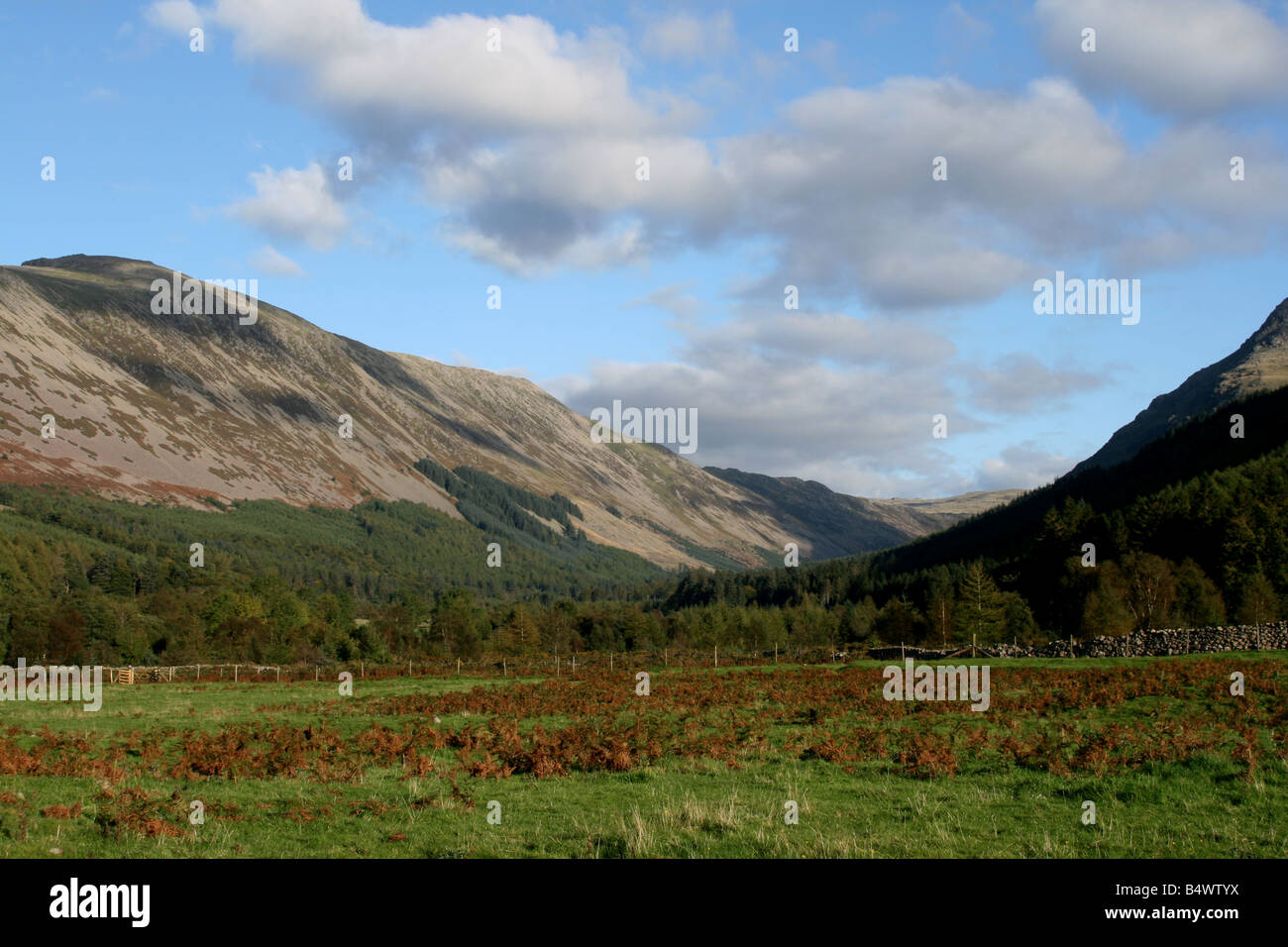 Ennerdale forest hi-res stock photography and images - Alamy