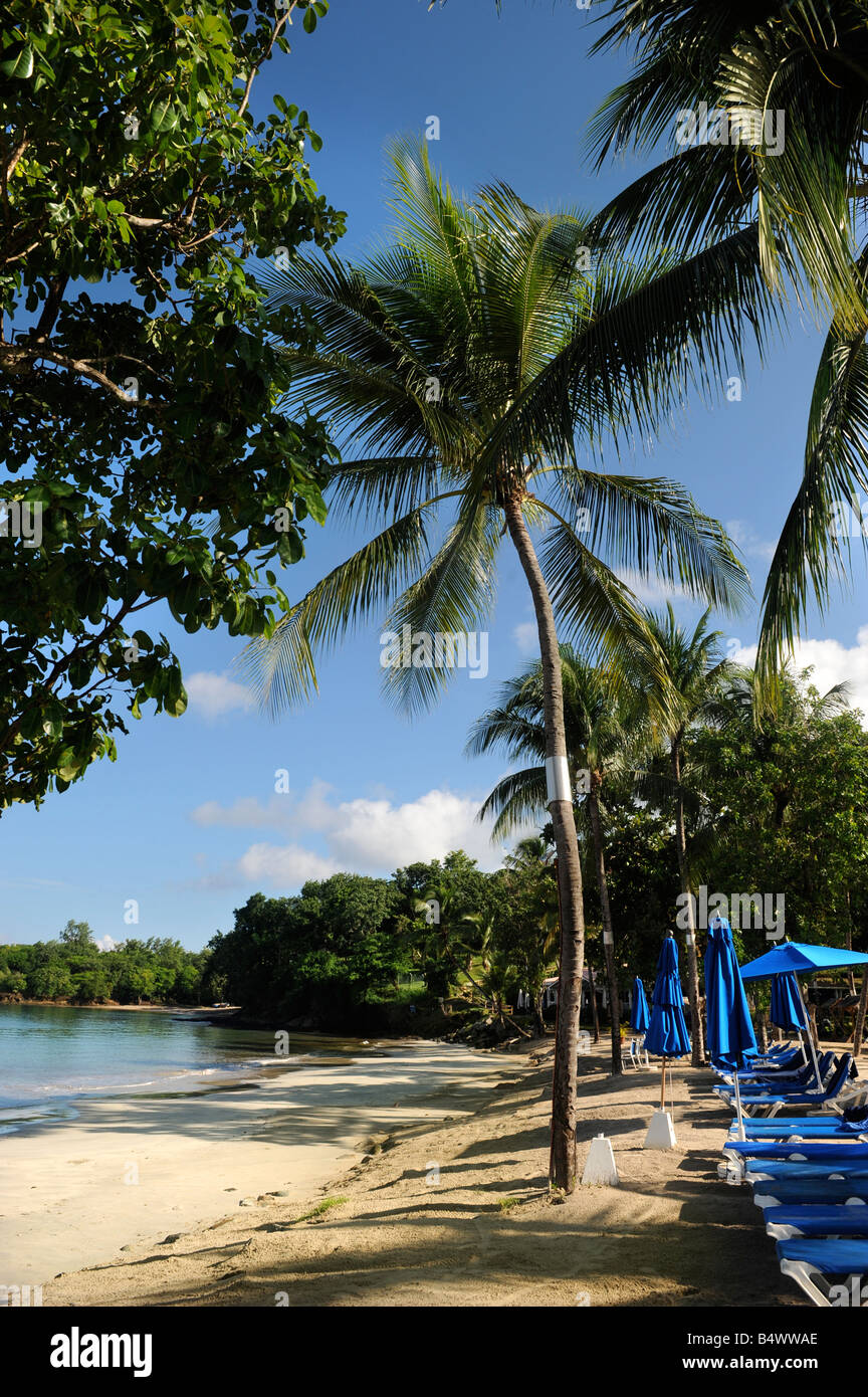 THE BEACH AT MORGAN BAY ST LUCIA Stock Photo - Alamy