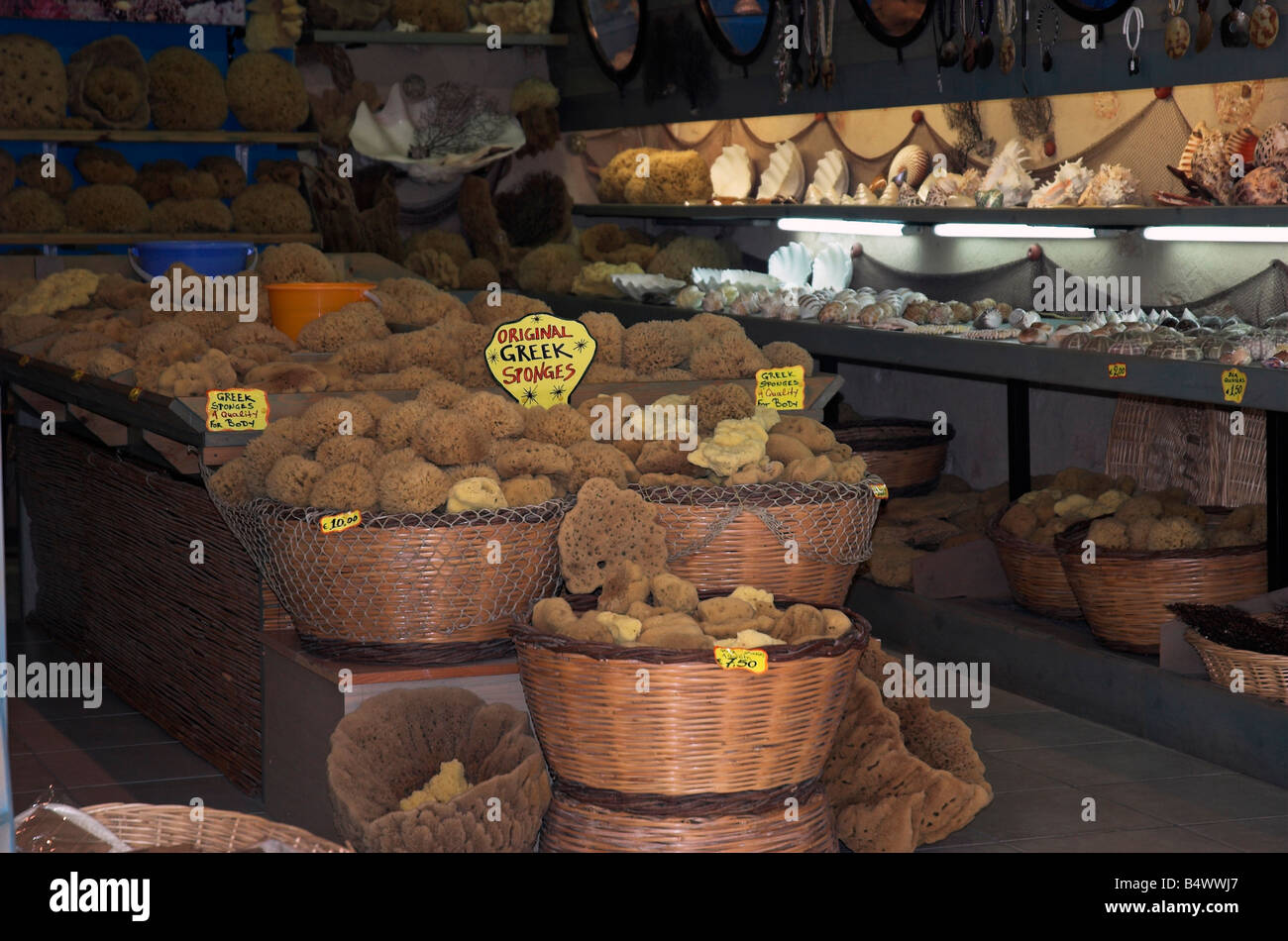 Greek sponges on display inside souvenir shop in old town Rethymnon ...