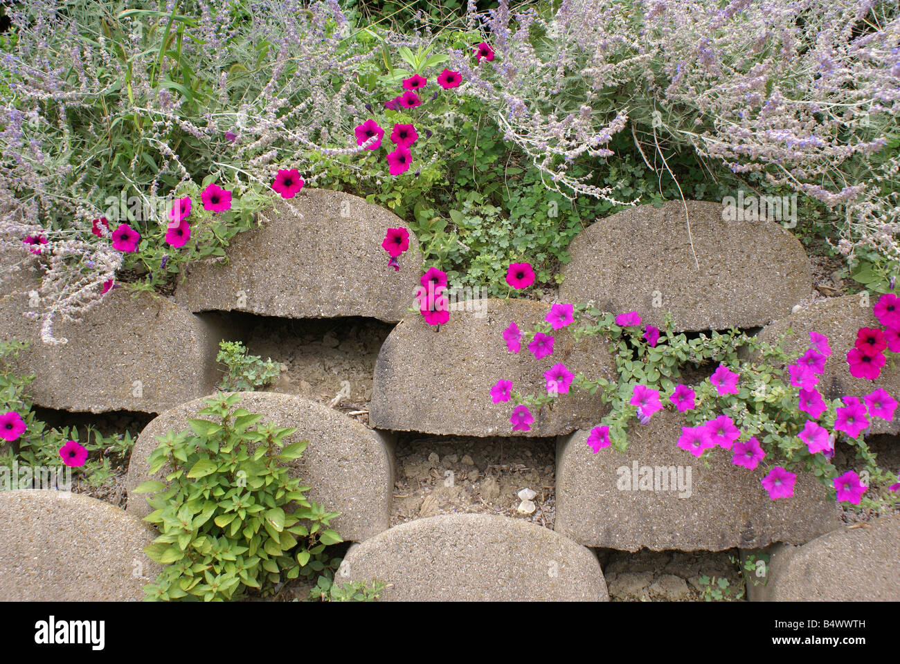 Curved cement blocks hi-res stock photography and images - Alamy
