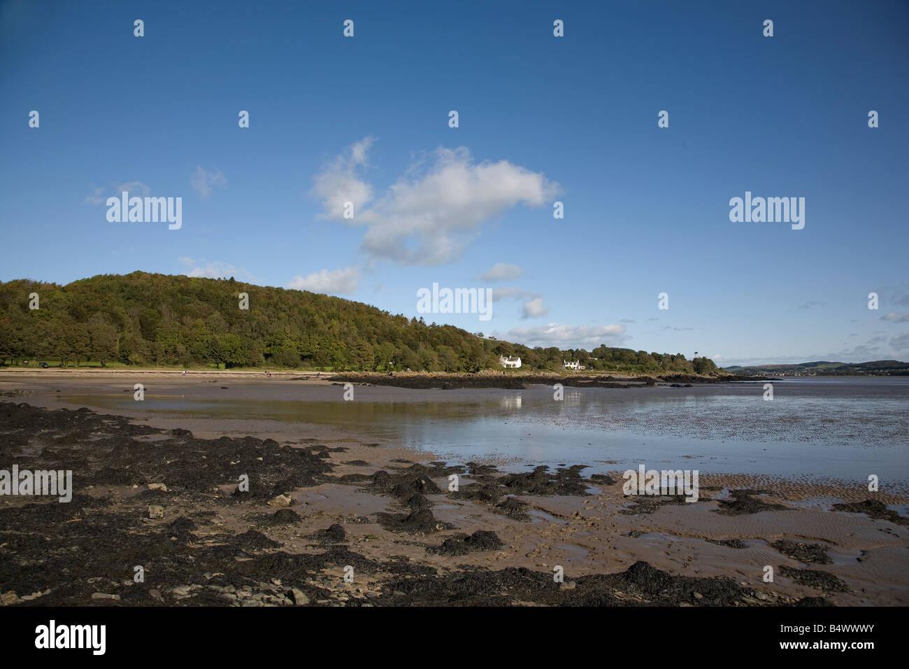 The River Dee estuary at low tide near Kirkcudbright in Scotland Stock ...