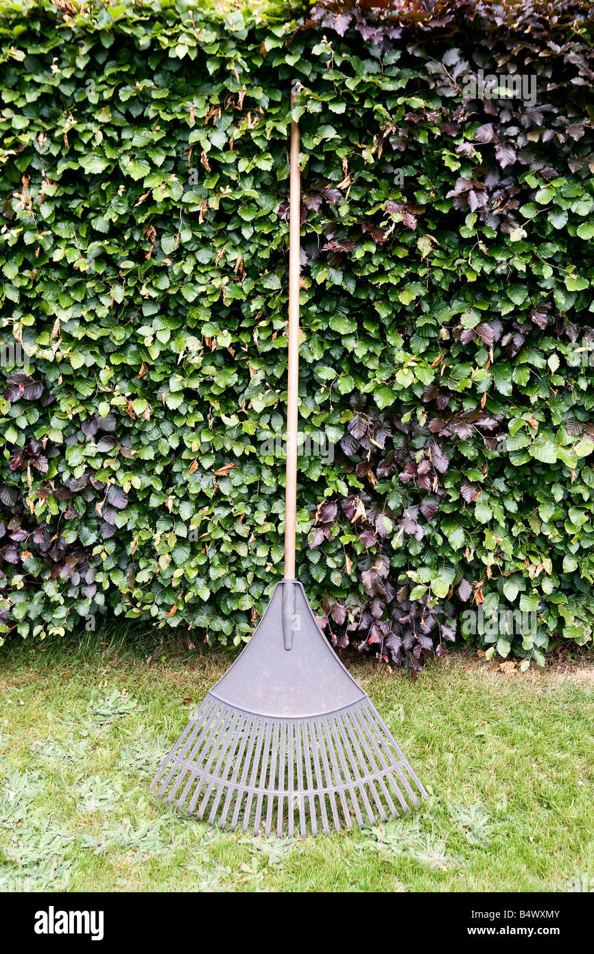 Landscaping hedge hi-res stock photography and images - Alamy