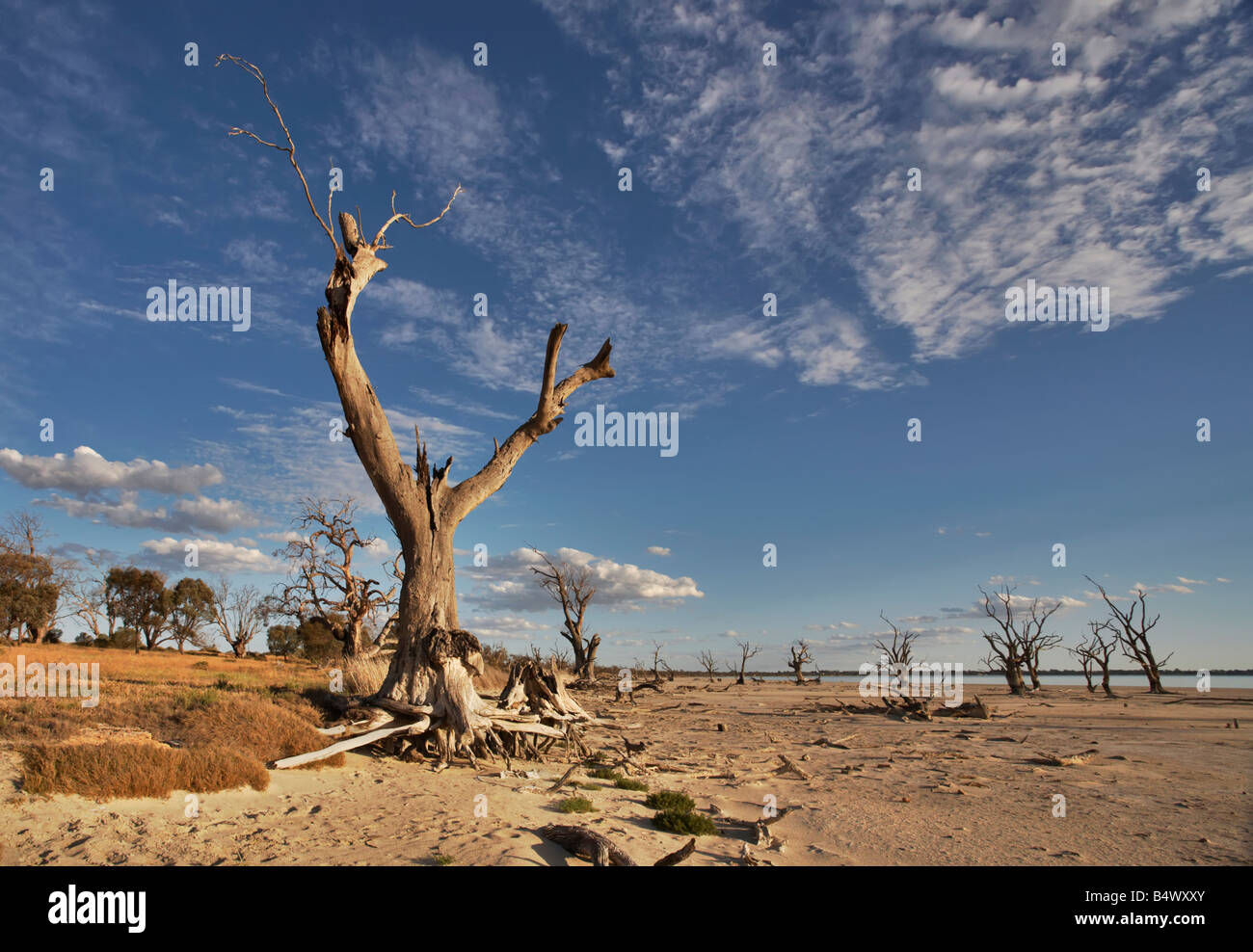 Lake Bonney Barmera Riverland South Australia Stock Photo - Alamy