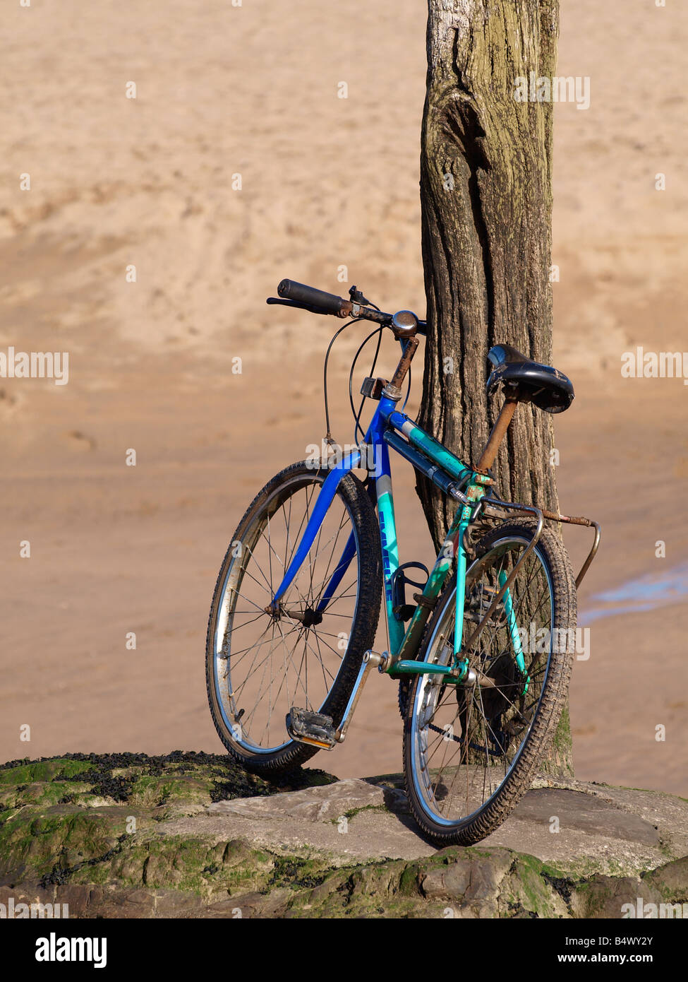 Bicycle leaning against post at the beach Stock Photo - Alamy