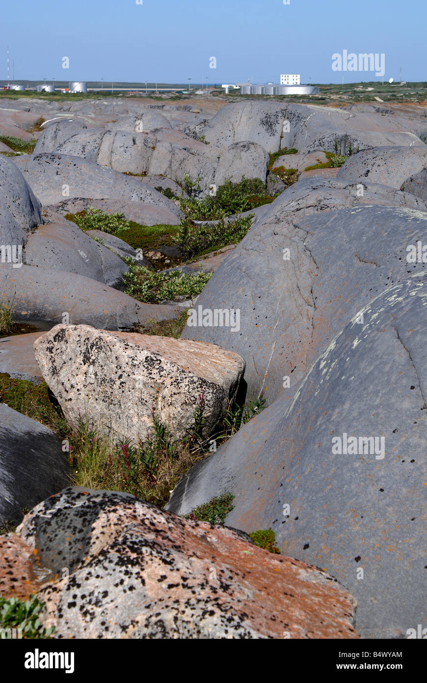 Manitoba summer rocks rocky hi-res stock photography and images - Alamy