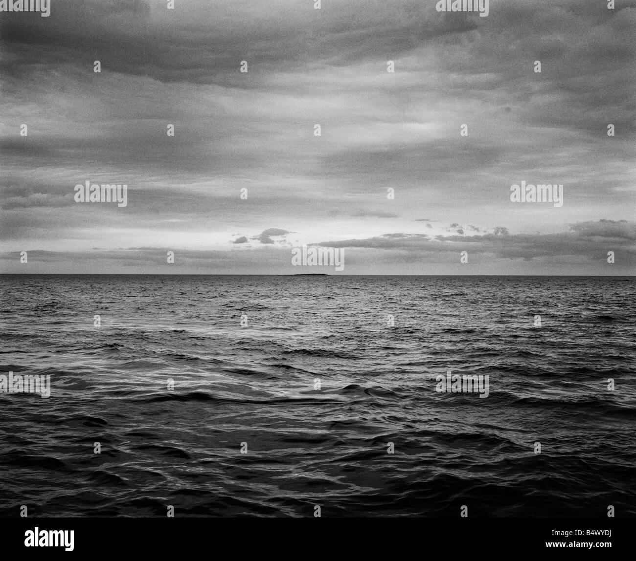 Farne Islands North Sea Northumberland UK 24 7 04 Stock Photo - Alamy
