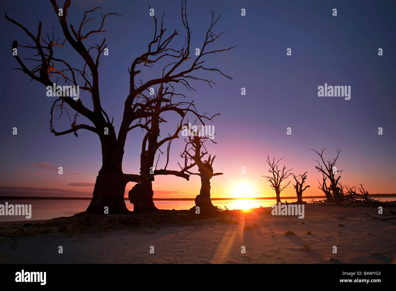 Pelican point lake barmera riverland hi-res stock photography and ...