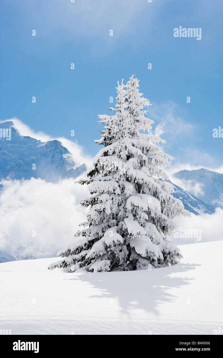 Fresh snow hi-res stock photography and images - Alamy