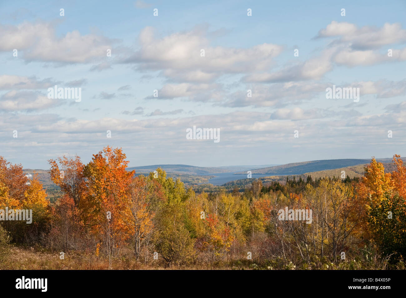 St John River Valley New Brunswick during the fall or autumn Stock ...