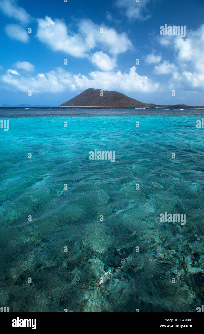 Coral reefs of Long Bay Tortola British Virgin Islands Stock Photo - Alamy