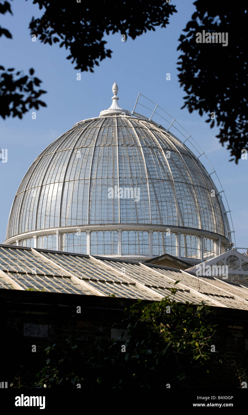 The Great Conservatory Syon Park London England UK Stock Photo - Alamy