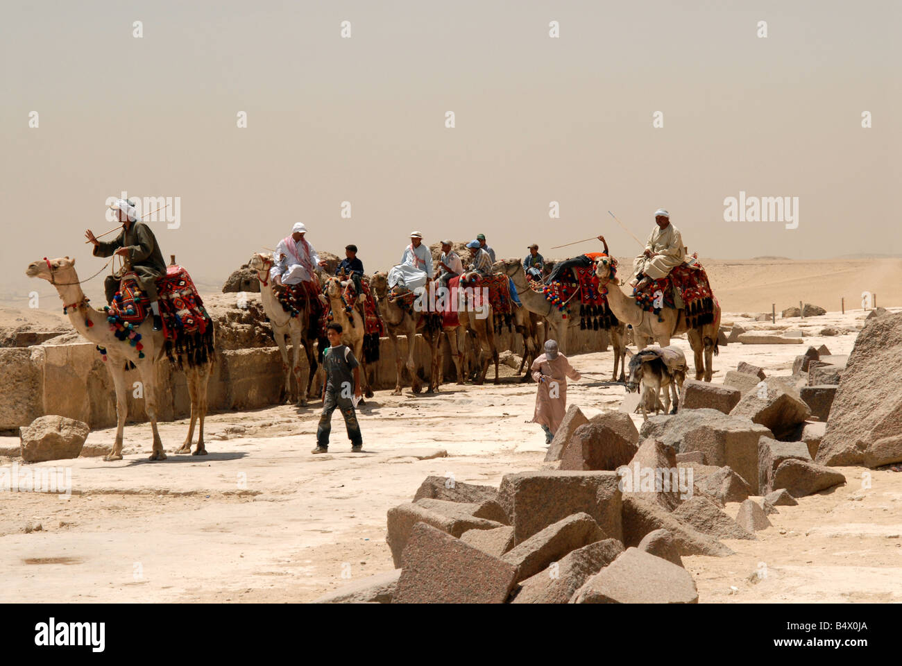 Camel ride. Cairo Egypt Stock Photo - Alamy