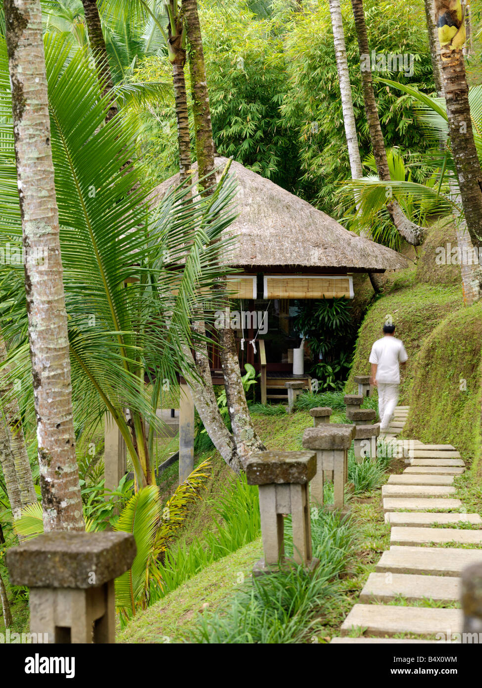 Bali forest trail hi-res stock photography and images - Alamy