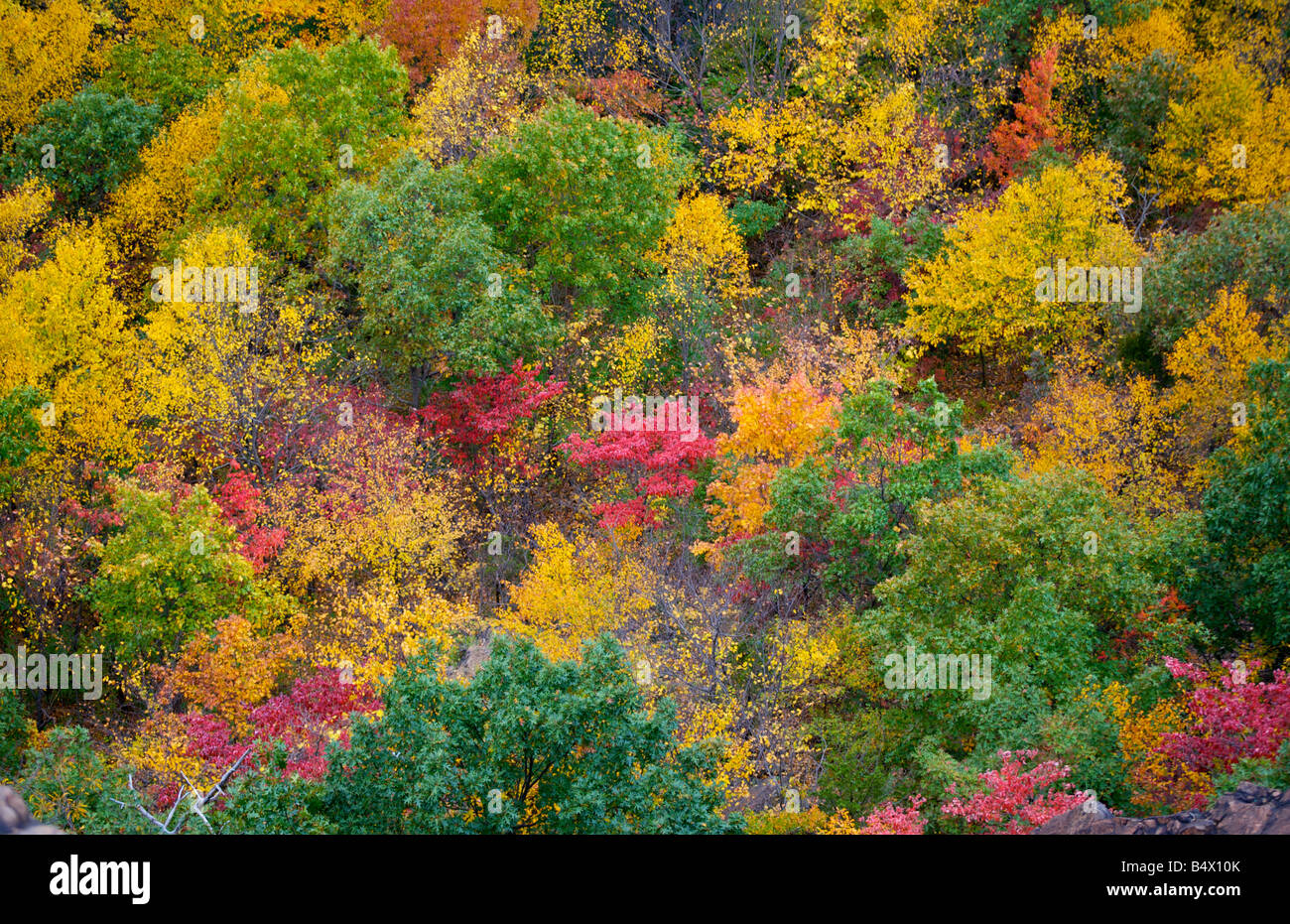 landscape and fall colors and scenic views of city and country Stock ...