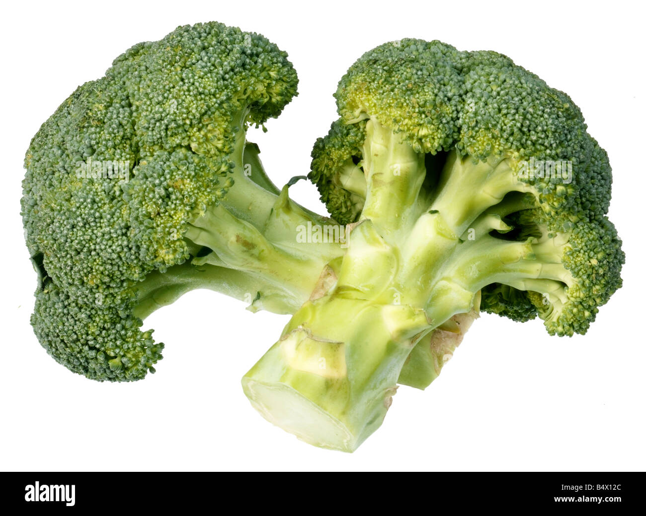 BROCCOLI FLORETS CUT OUT Stock Photo - Alamy