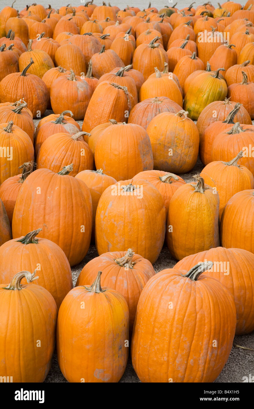 Bay City Michigan Fall produce on sale at Heinz Farm Fresh Produce a ...