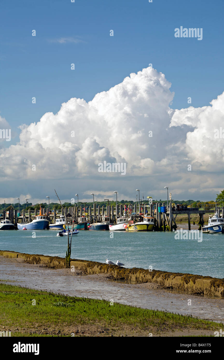 Rye harbour nature reserve hi-res stock photography and images - Alamy