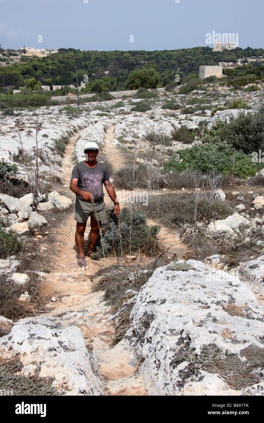 A Maltese Guide showing the Cart Ruts at Clapham Junction in Malta ...