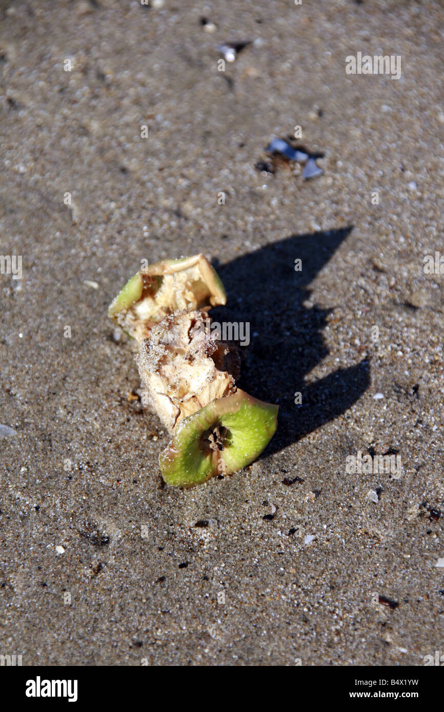 one old apple core left on beach outdoors Stock Photo - Alamy