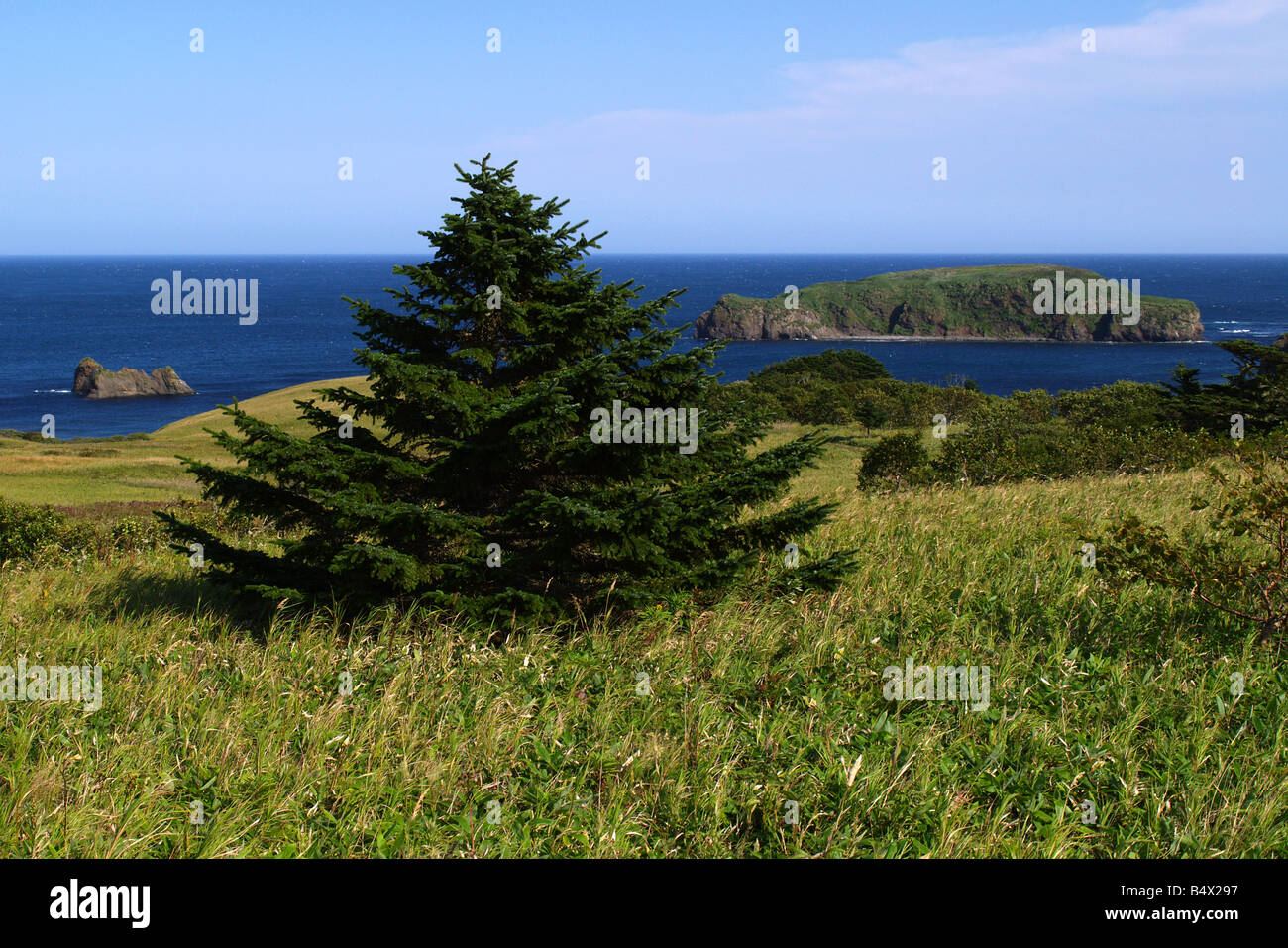 Shikotan island landscape Stock Photo - Alamy