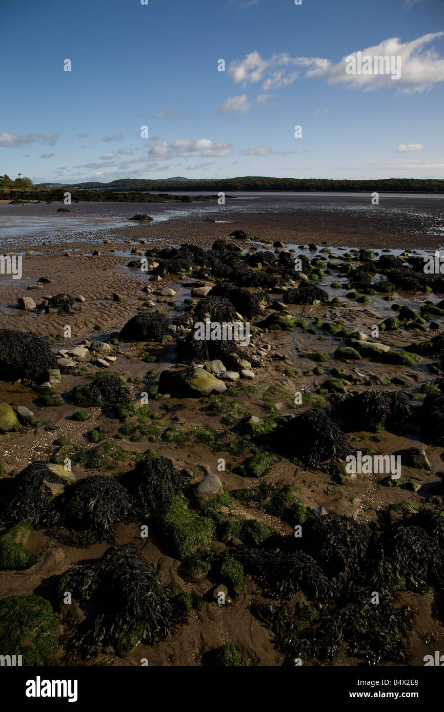 River dee estuary hi-res stock photography and images - Alamy