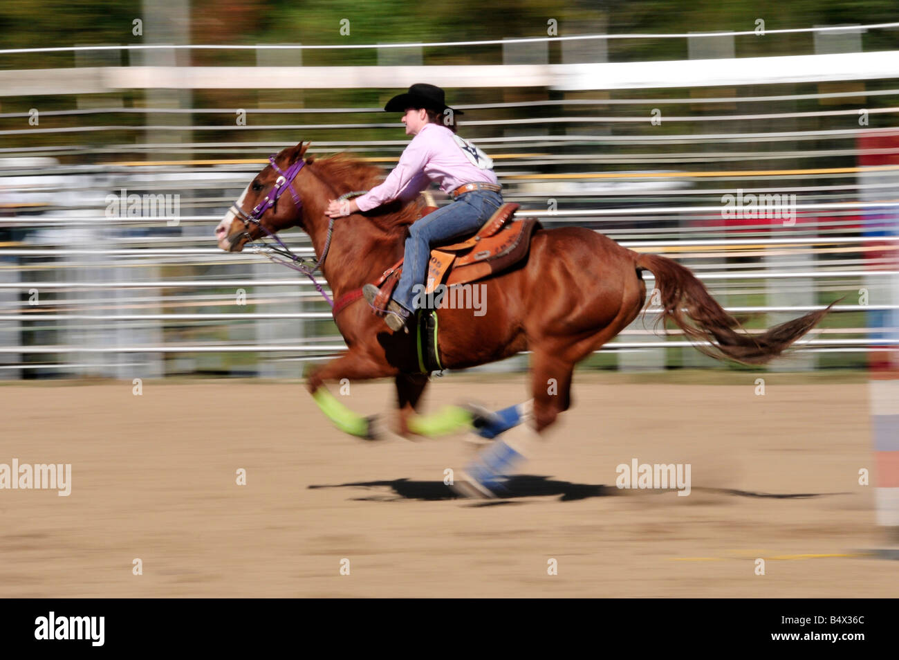 High school boys girls rodeo hi-res stock photography and images - Alamy