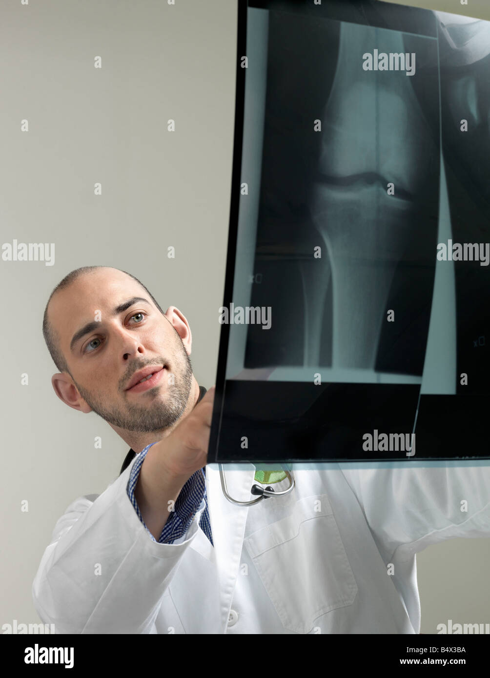 Doctor with x-ray Stock Photo - Alamy